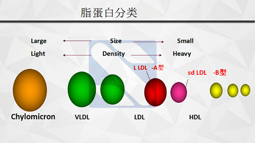 血脂类实力压轴——sd LDL-C-北京九强生物技术股份有限公司